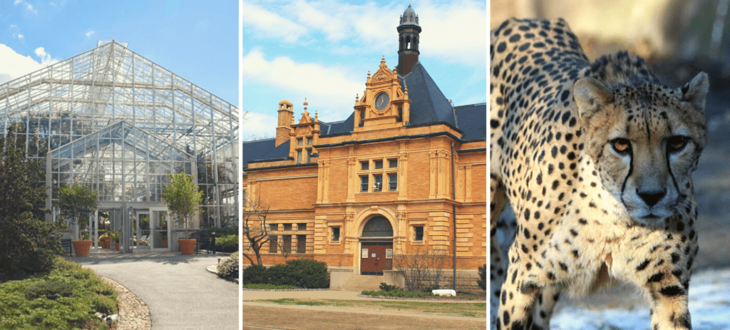 Printable Zoo Maps - 8mvmyonr Qz Map 2022 roger williams zoo map