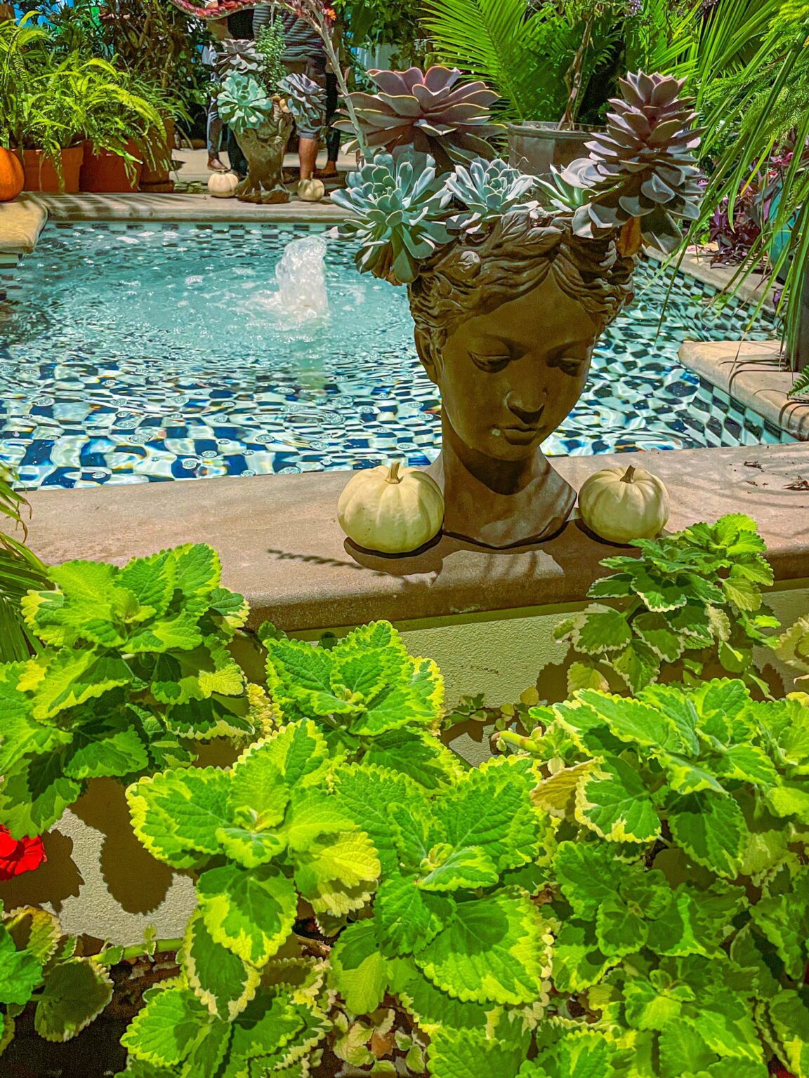 Roger Williams Park Botanical Center | Providence, RI