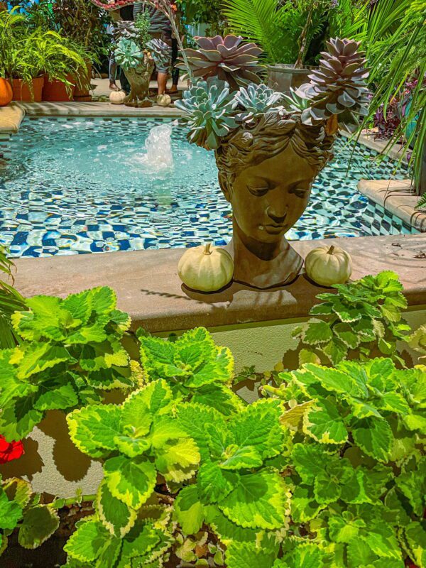 Roger Williams Park Botanical Center | Providence, RI