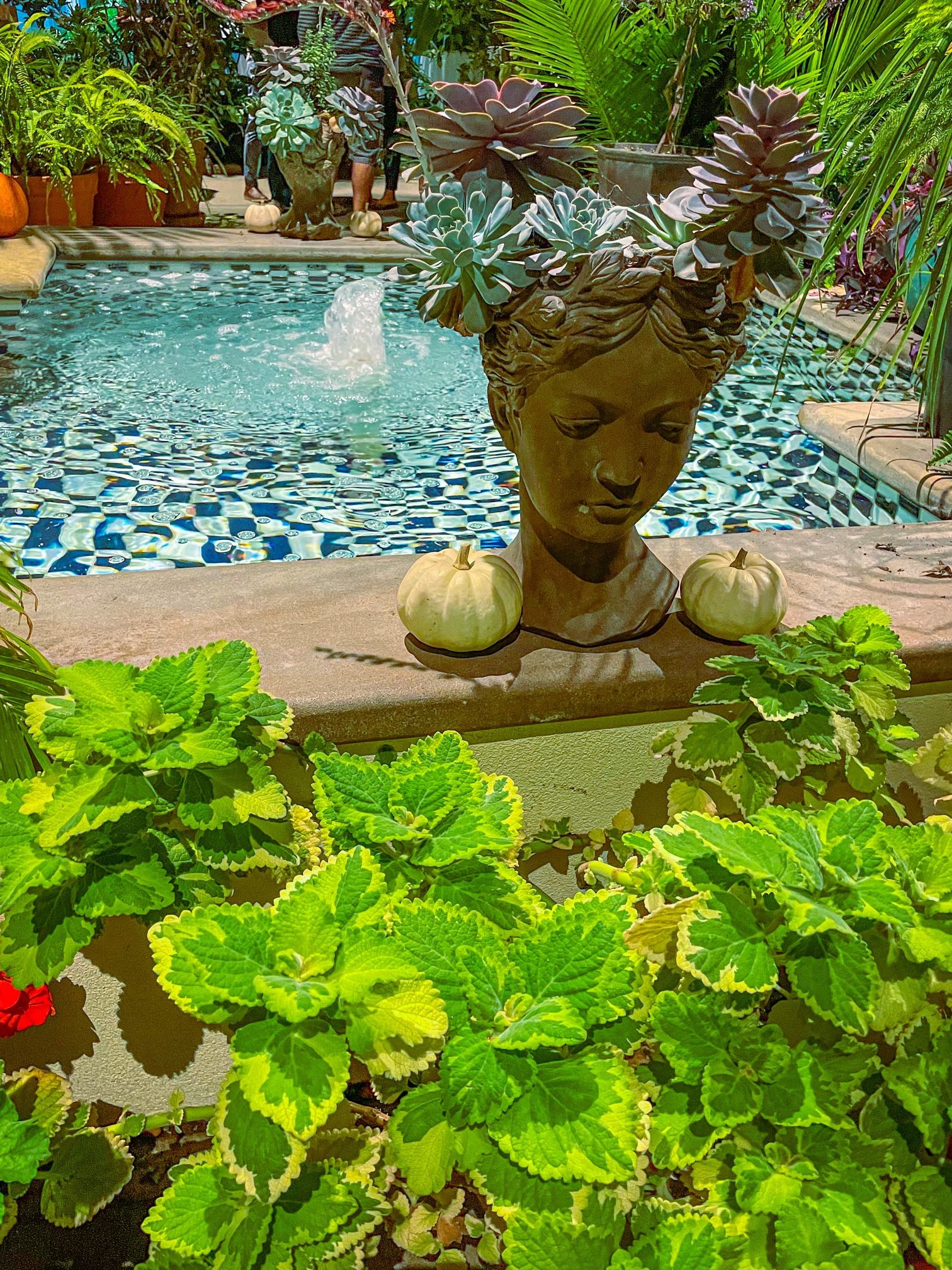 Roger Williams Park Botanical Center | Providence, RI