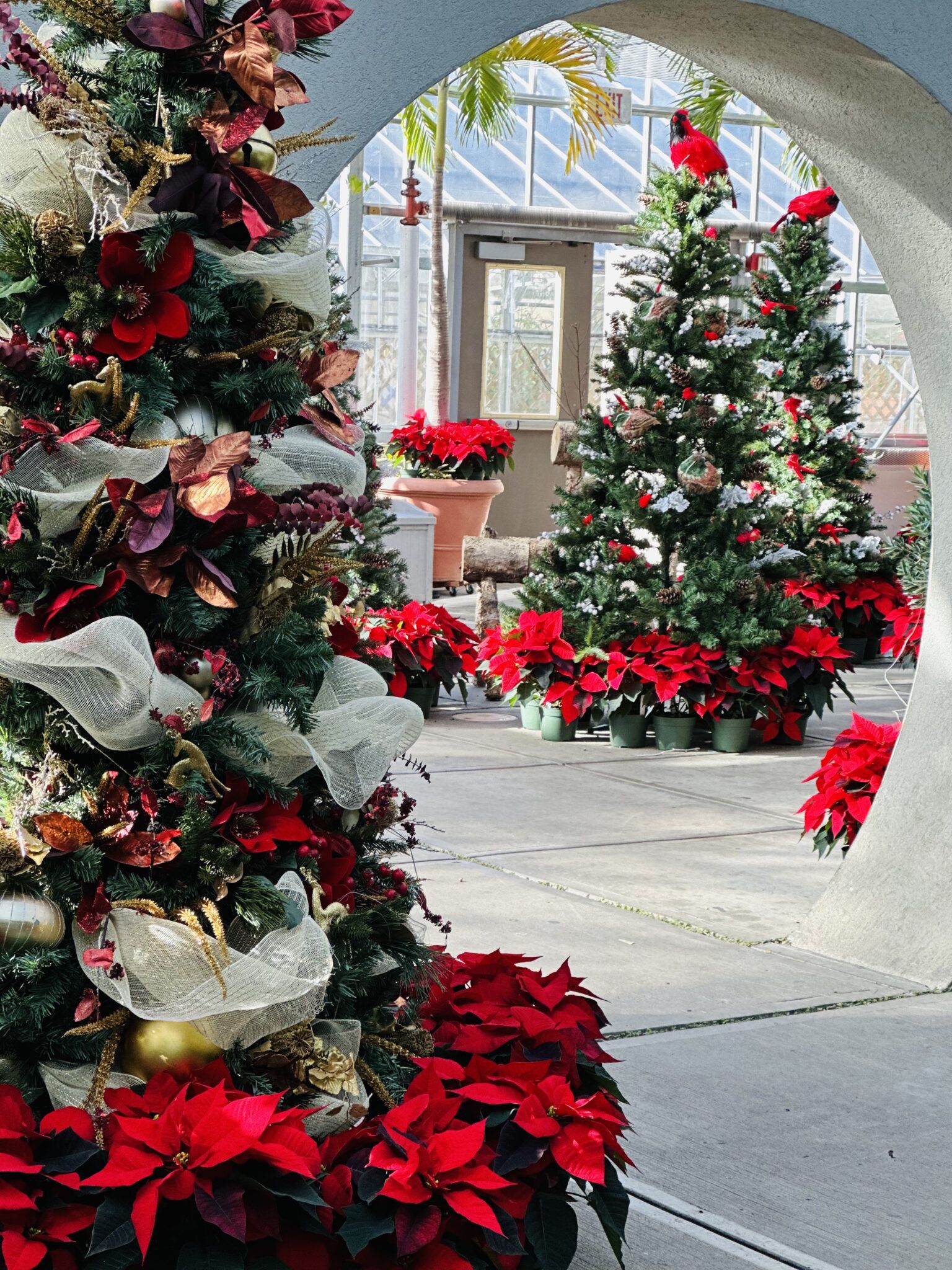 Roger Williams Park Botanical Center | Providence, RI