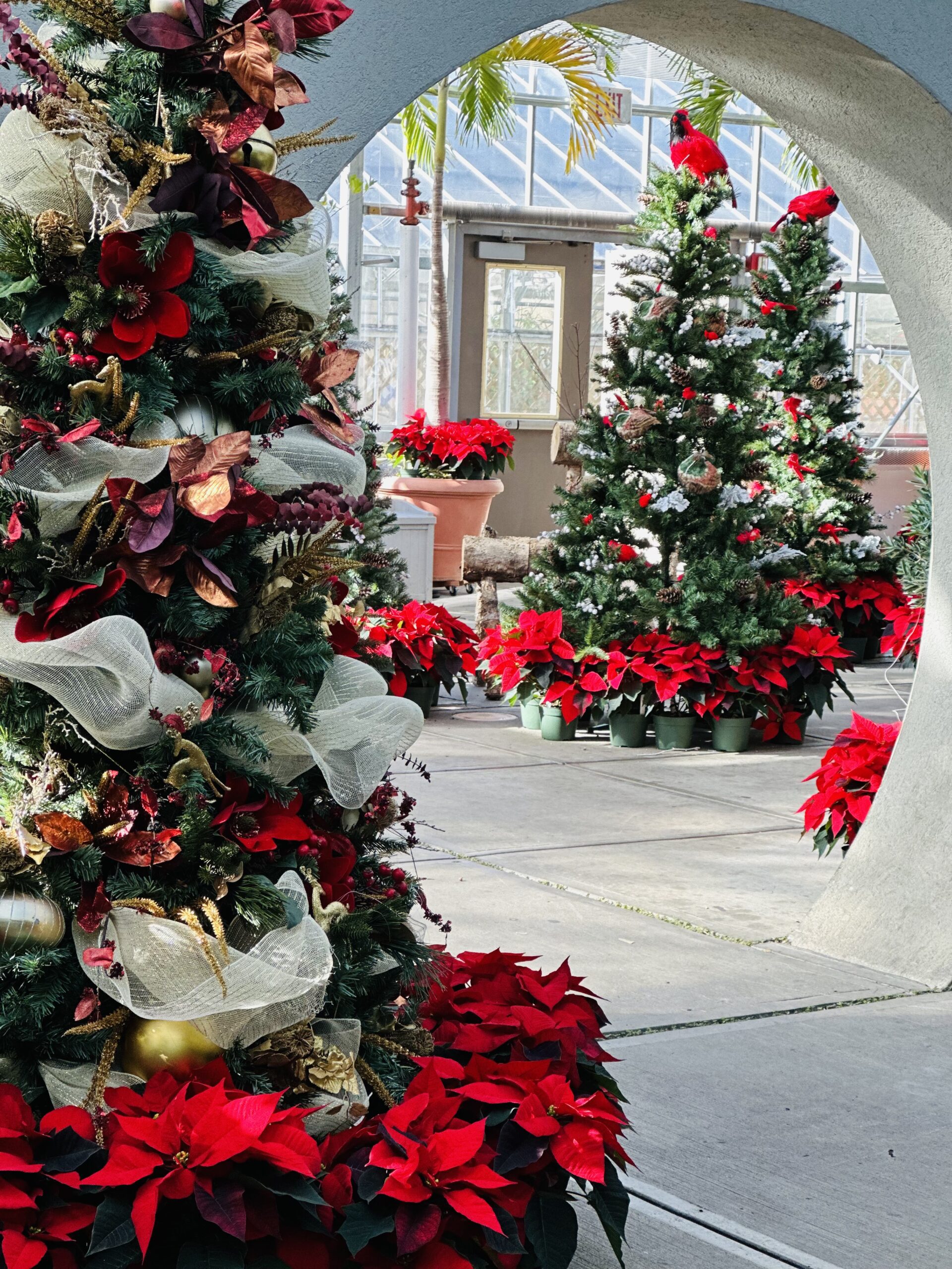 Roger Williams Park Botanical Center | Providence, RI